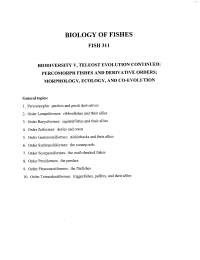 Biodiversity V, Teleost Evolution Continued: Percomorph Fishes and ...