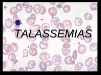 TALASSEMIAS Introdução Distribuição geográfica Definição - HEMATOLOGIA ...