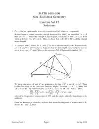 Problem Set 3 Solutions for Non-Euclidean Geometry | MATH 6118 - Docsity