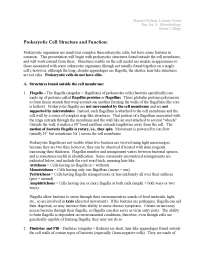 Prokaryotic Cell Structure and Function - Lecture Notes | BIOL 0004 ...