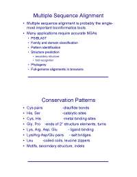 Multiple Sequence Alignment - Computational Biology Tools | BME 110 - Docsity