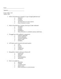 Practice Exam 1 - Principles of Biology II | BIOL 1720 - Docsity