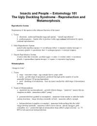 The Ugly Duckling Syndrome - Reproduction and Metamorphosis | Entom 101 - Docsity