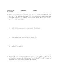 2 Practice Problems on Linear Algebra - Quiz 2 | MATH 700 - Docsity