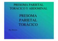 PRESOMA PARIETAL TORÁCICO Y ABDOMINAL I - Apuntes de Anatomía - Docsity