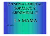 PRESOMA PARIETAL TORÁCICO Y ABDOMINAL II - Apuntes de Anatomía - Docsity