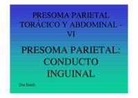 PRESOMA PARIETAL TORÁCICO Y ABDOMINAL VI - Apuntes de Anatomía - Docsity