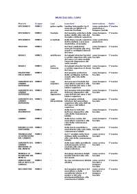 Anatomia - Elenco di tutti i muscoli | Schemi e mappe concettuali di Anatomia I | Docsity