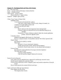 Notes on The Human Body and Three of its Systems | BIOL 101 - Docsity