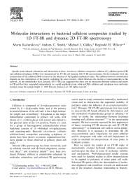 1D FT-IR and dynamic 2D FT-IR spectroscopy - 1D FT-IR and dynamic 2D FT ...
