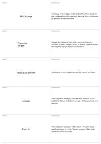 CH 35-Plant structure and growth | BIOL 213 - Principles of Biological Structure and Function ...