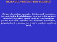 Embriologia - Somitos - Embriologia - somitos - Docsity