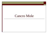Cancro mole - ARQUIVO SOBRE A DOENÇA SEXUALMENTE TRANSMISSÍVEL CANCRO ...