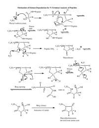 Mechanism of Edman Degradation for N Terminal Analysis | CHE 118C - Docsity