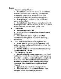 Study Guide 2 - Major Regions of Brain - Human Anatomy and Physiology I ...