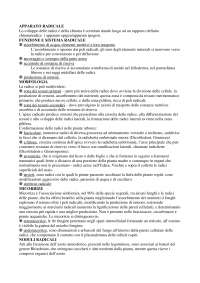 Biologia Vegetale - Apparato radicale - Docsity