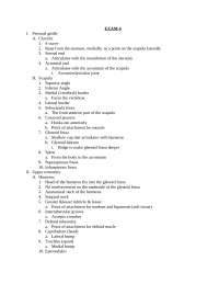 Exam 4 Study Guide for Anatomy and Physiology I | ANAT 101 - Docsity