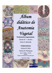 Álbum ilustrado de anatomia vegetal - Livro com imagens de células e ...
