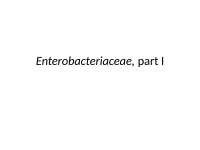 Enterobacteriaceae 1 - Pathogenic Microorganism - Lecture Slides | BIO ...