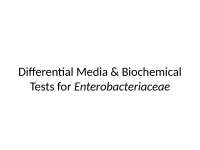 Differential Media and Biochemical Tests for Enterobacteriaceae | BIO ...