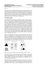 Cognitive Neuroscience-2003 Lecture Handout 03-Psychology - Docsity
