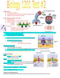 Exam 2 - Biology for Science Majors I | BIOL 1201 - Docsity