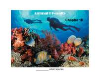 Animal Diversity - Organismal Biology - Lecture Slides | BIOL 128 - Docsity