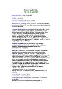 Coco - da - Baia - Cocos - nucifera - L-ficha - completa - com - fotos ...