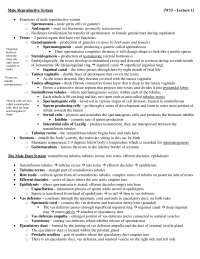 Male and Female Reproductive System - Notes | KN 252 - Docsity