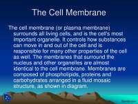 The Cell Membrane-Basic Human Biology-Lecture Slides - Docsity