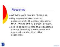 Ribosomes-Cell Biology-Lecture Slides - Docsity