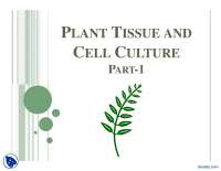 Plant Tissues and Cell Culture Part 1-Botany-Lecture Slides | Slides Botany and Agronomy - Docsity