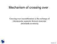 Mechanism of Crossing Over-Genetics And Cell Biology-Lecture Slides ...