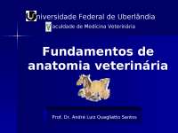 Fundamentos da Anatomia Veterinária - Aula introdutória de anatomia ...