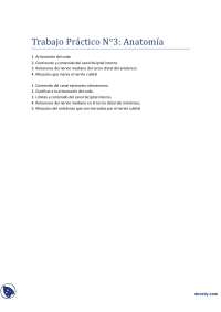 Articulación Del Codo Trabajo Práctico Anatomía Docsity