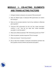 Avatar trans 11 - funkynimfa