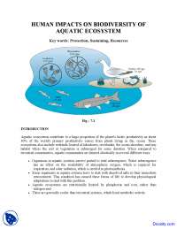 Biodiversity of Aquatic Ecosystem - Enviromental Sciences - Lecture ...