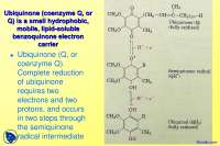 Ubiquinone - Biochemistry - Lecture Slides - Docsity