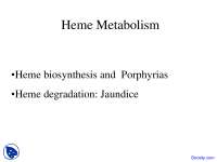 Heme Metabolism - Biochemistry - Lecture Slides - Docsity