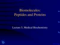Peptides and Proteins - Biochemistry - Lecture Slides - Docsity
