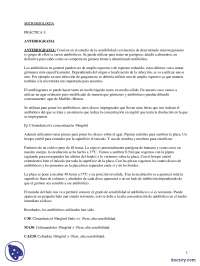 Antibiograma - Prácticas - Microbiología - Biología - Docsity