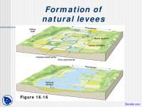 Formation of Natural Levees - Dynamic Earth - Lecture Slides - Docsity