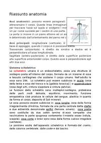 ANATOMIA FUNZIONALE - Apparato locomotore - Appunti di Medicina - Docsity