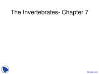 Invertebrates - Marine Biology - Lecture Slides - Docsity