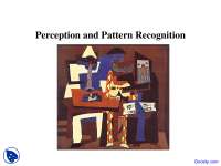 Perception and Pattern Recognition - Cognitive Psychology - Lecture Slides - Docsity