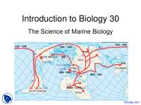 Science of Marine Biology - Marine Biology - Lecture Slides - Docsity
