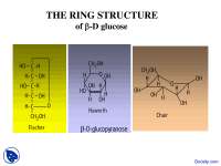 The Ring Structure - Biochemistry - Lecture Slides - Docsity