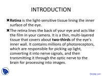 Anatomy and Physiology of the Retina - Introduction to Ophthalmology ...