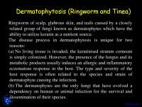 Ringworm and Tinea - Dermatology - Lecture Slides - Docsity