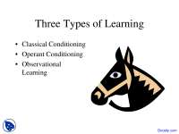 Three Types of Learning - General Psychology - Lecture Slides - Docsity